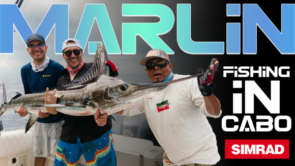 Best Water Temperatures To Catch Marlins in Cabo San Lucas And What ...