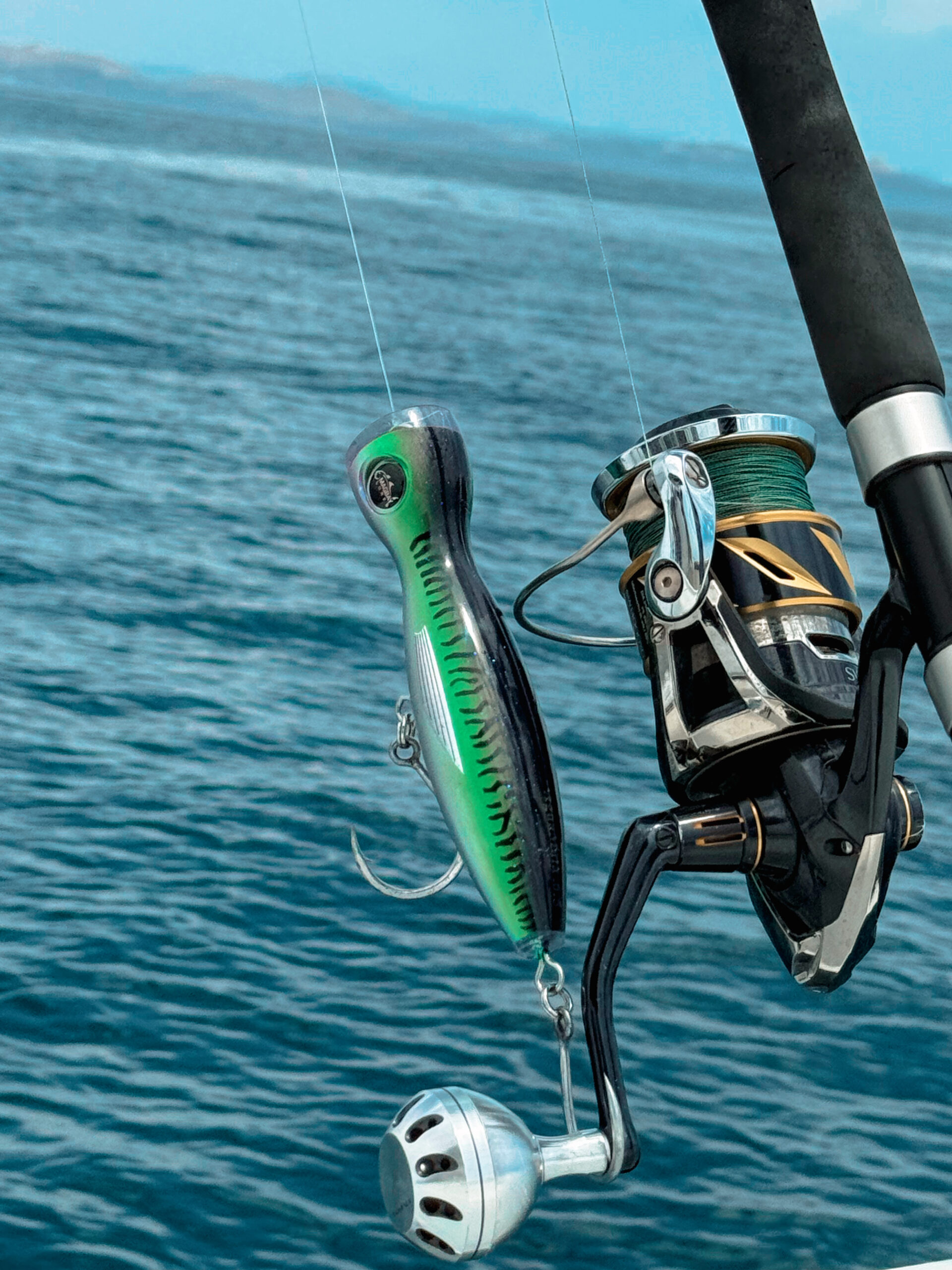 Choosing The Right SHIMANO Stella Reel - Tag Cabo Sportfishing