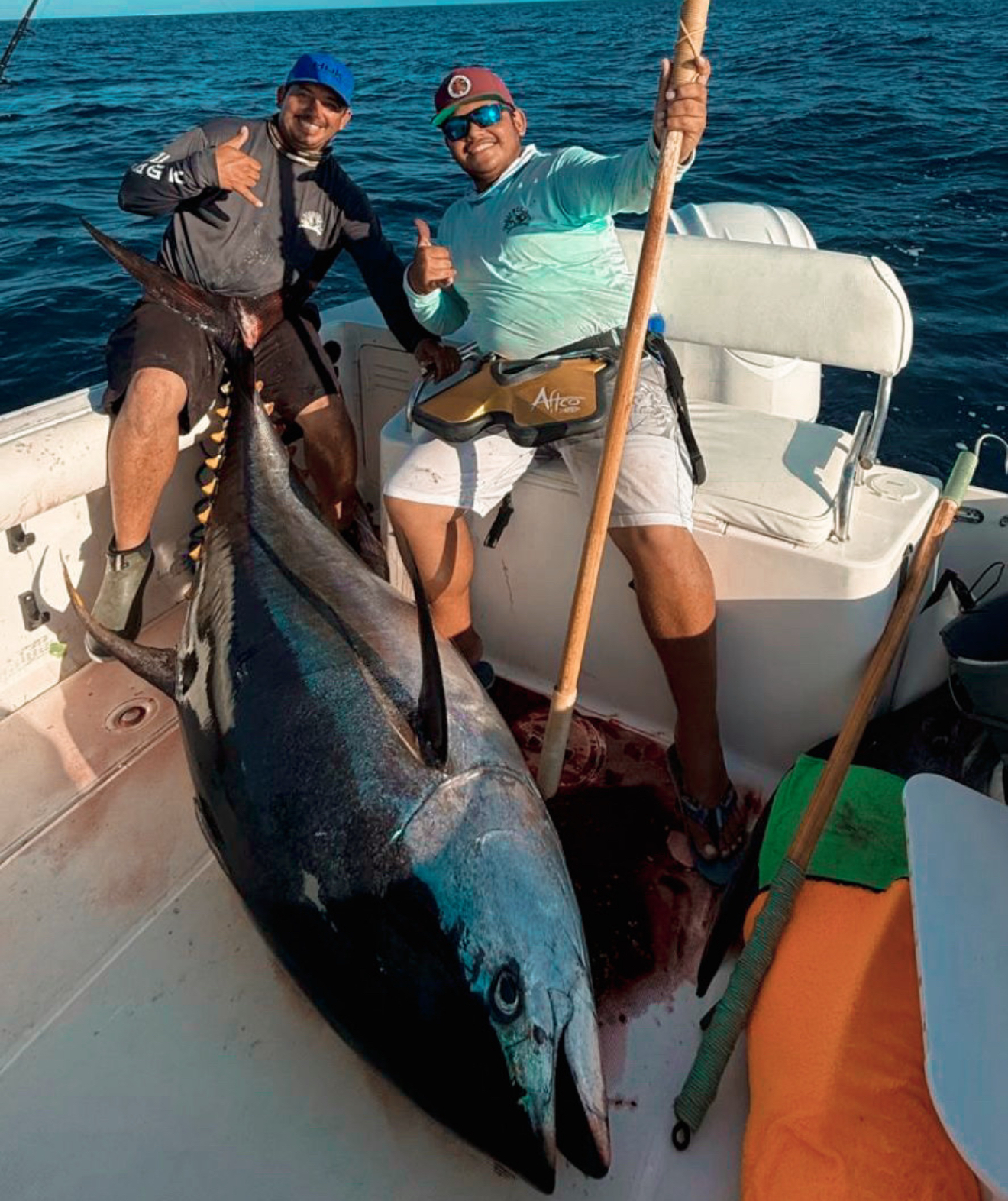 Massive 328-Lb Yellowfin Tuna Caught in San José del Cabo - Tag Cabo ...