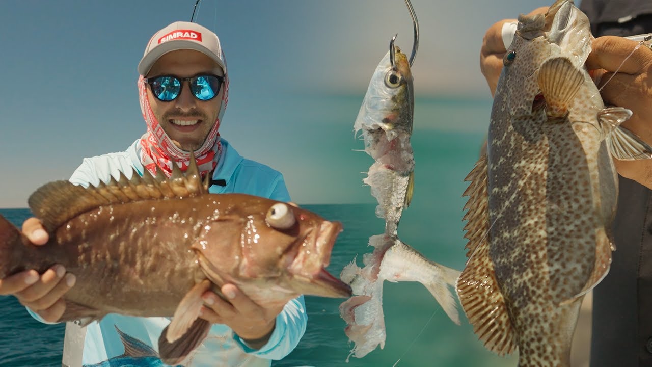 The Angler’s Paradise: Best Fishing Spots from Ensenada to Cabo San ...